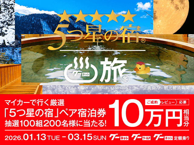ダイハツ タント L SAII SDナビ バックカメラの中古車｜グーネット中古車